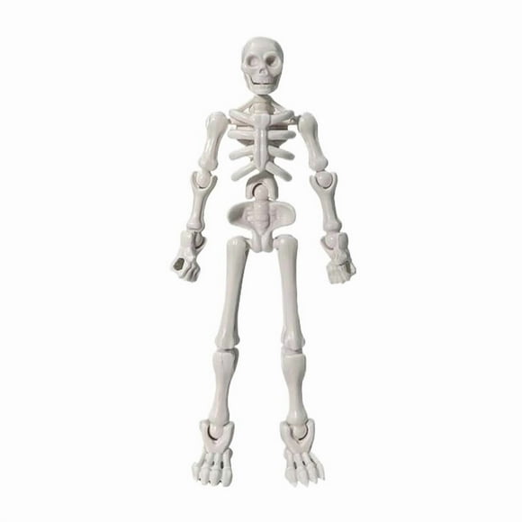 Skeleton Action Figures