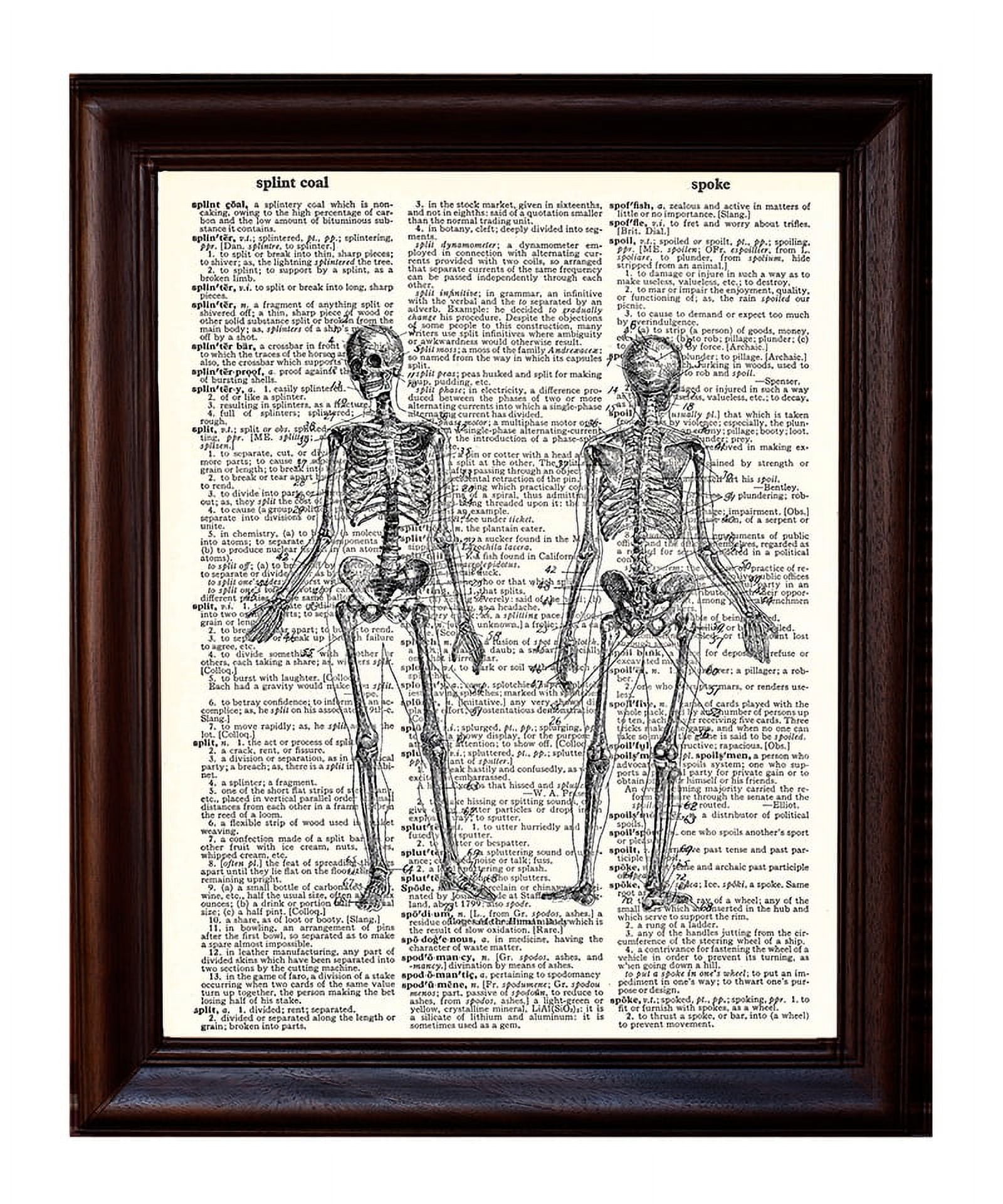 Human Skeleton - Dictionary Art Print Printed On Authentic Vintage ...