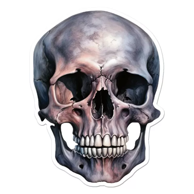 Human Skull Sticker Phone Decal Water Bottle Stickers Car Decals ...