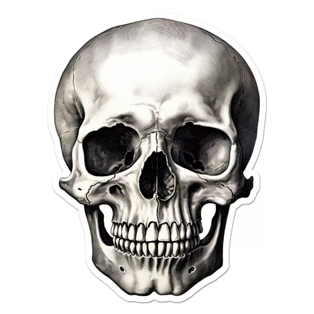 Human Skull Sticker Phone Decal Water Bottle Stickers Car Decals ...