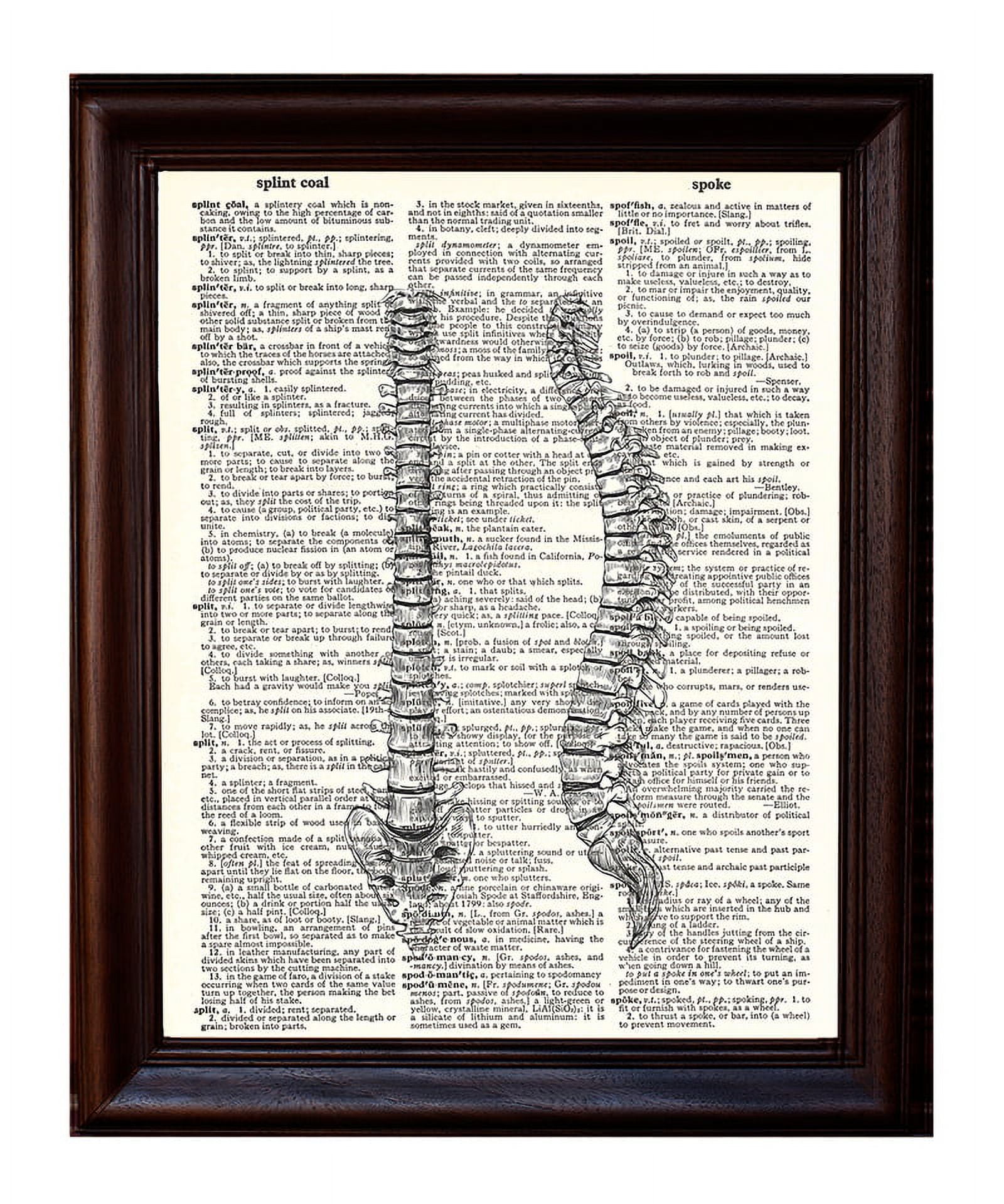 Human Spine - Dictionary Art Print Printed On Authentic Vintage ...
