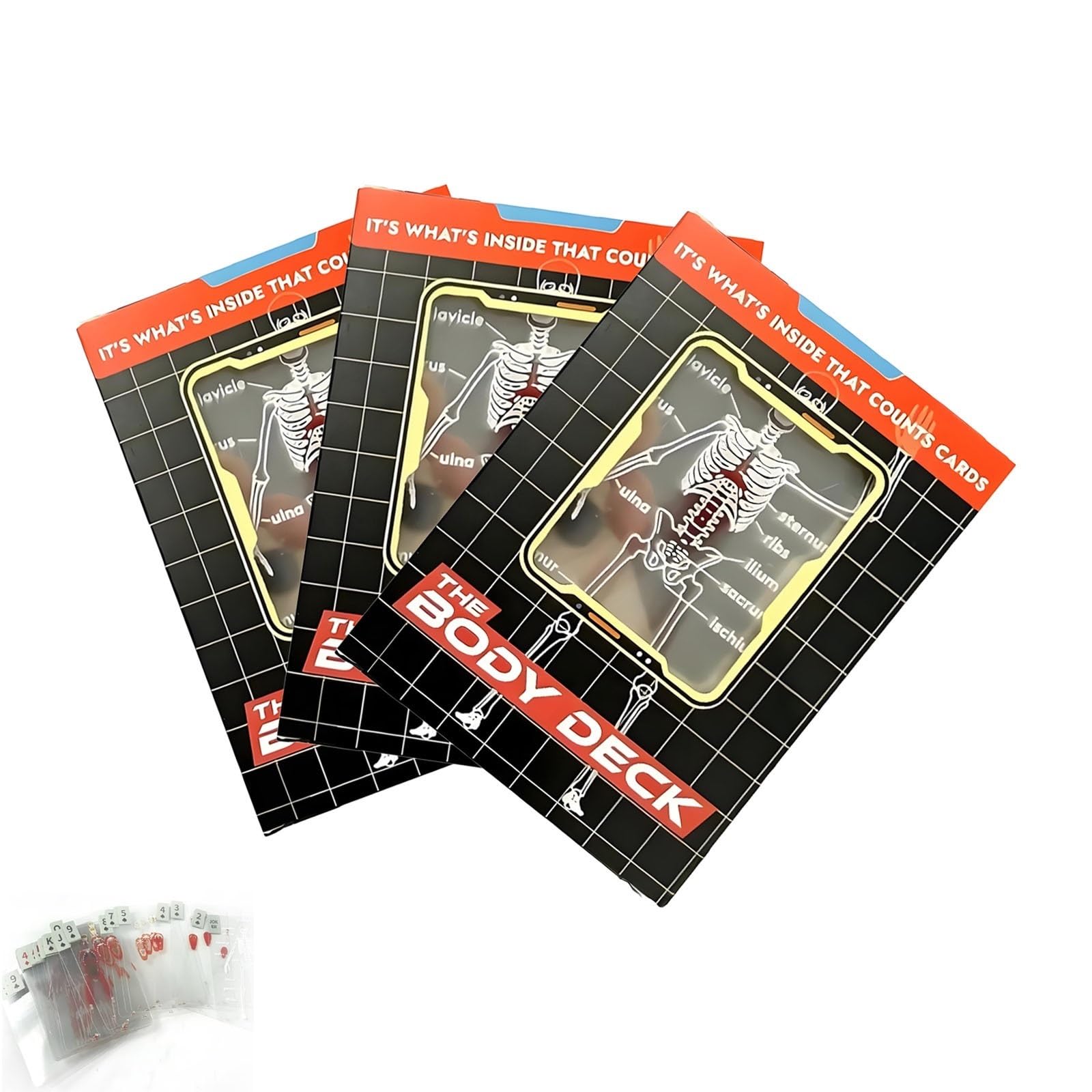 Human anatomy playing cards, 3D image educational playing cards, 2027 ...
