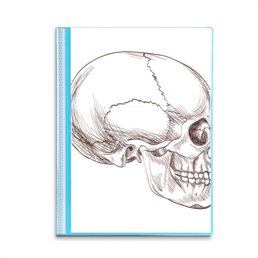 Human l Profile Drawing Book Sheet Protectors Portfolio Binder Folder ...