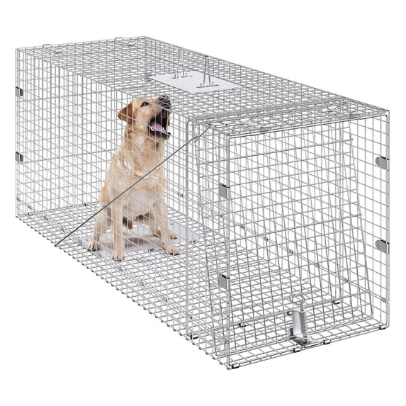 Humane Animal Trap 50" - Galvanized Iron Live Cage for Raccoons, Dogs ...