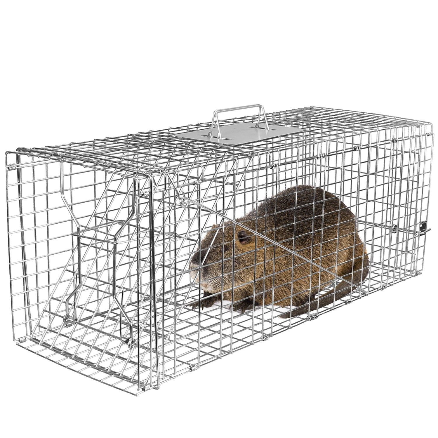 Humane Cat Trap Cage Catch Release Live Animal Rodent Cage Collapsible ...