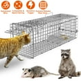 Humane Live Animal Trap Cage - Collapsible Galvanized Wire for Safe ...