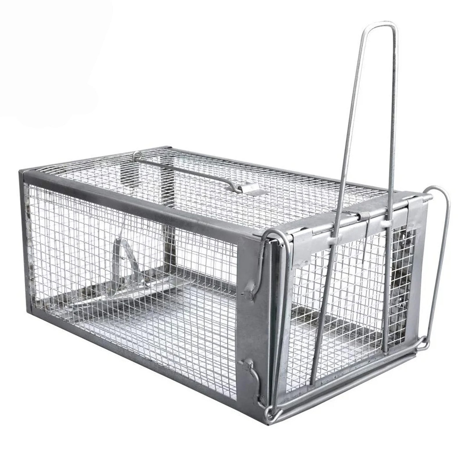 Humane Live Animal Trap for Small Critters, Heavy-Duty Steel Cage ...