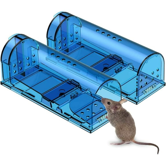 Humane Mouse Trap | Catch and Release Mouse Traps That Work | Mice Trap ...
