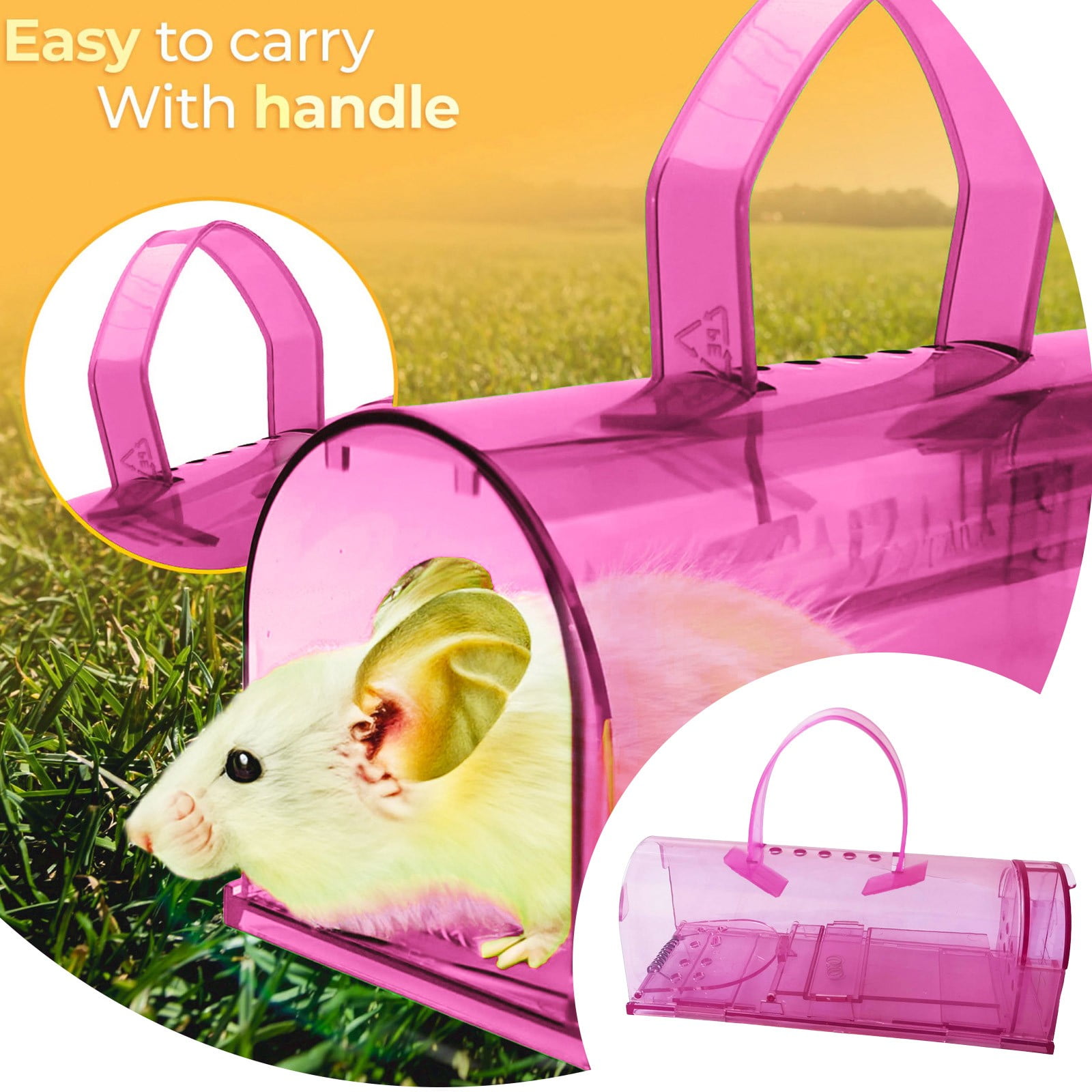 Humane Mouse Trap Catch And Release Mouse Traps That Work Mice Trap