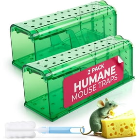 Mouse Traps Box