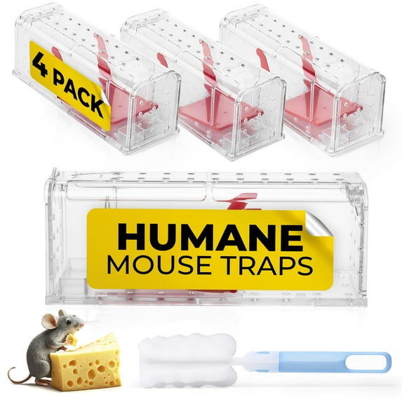 Humane Mouse Trap Pack of 4 - No Kill - Live Mouse Traps Indoor for ...