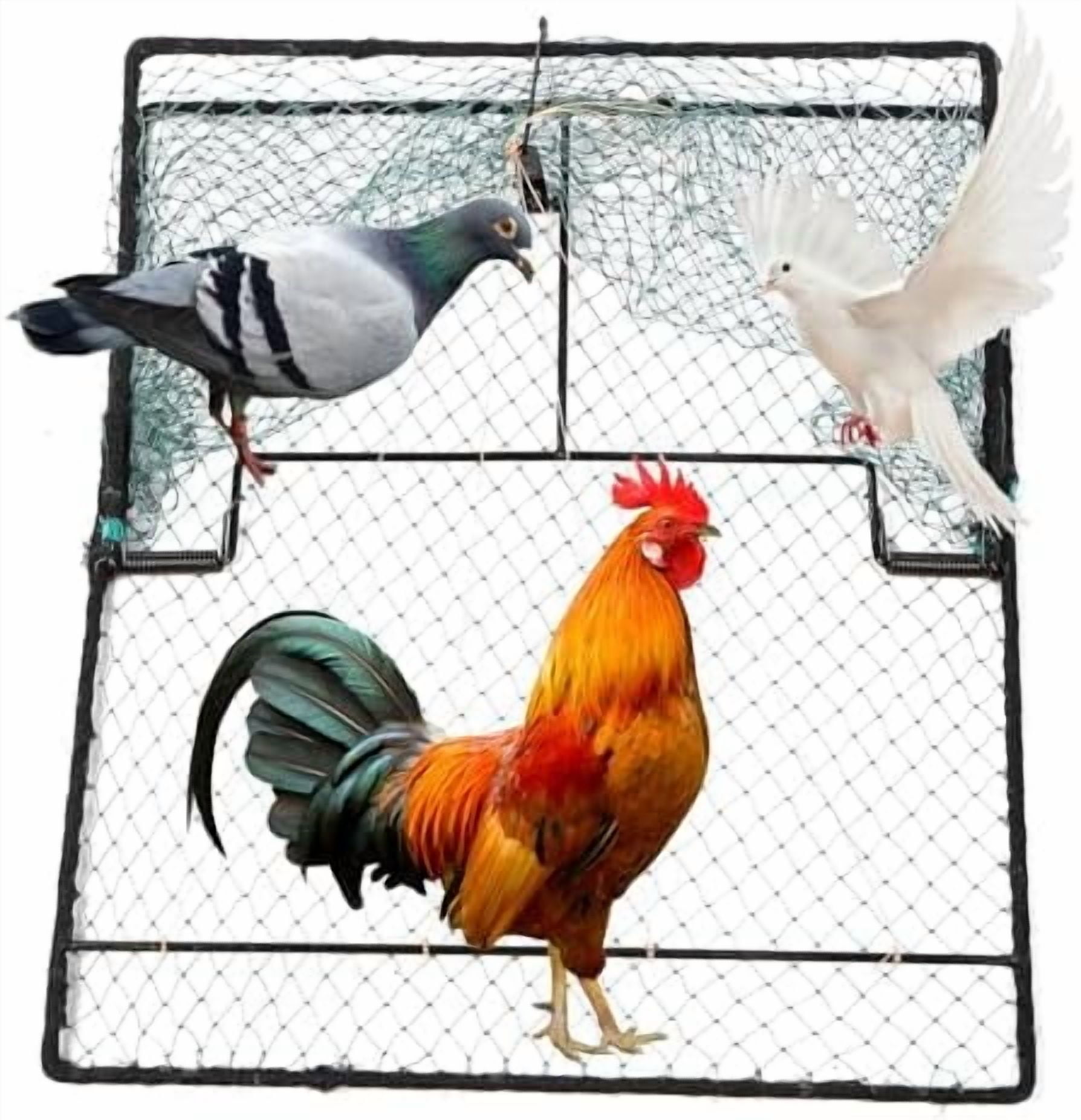Humane Pigeon Trap,Bird Trap for Quail,Turkey,Net Traps (19.7x23.6 inch ...