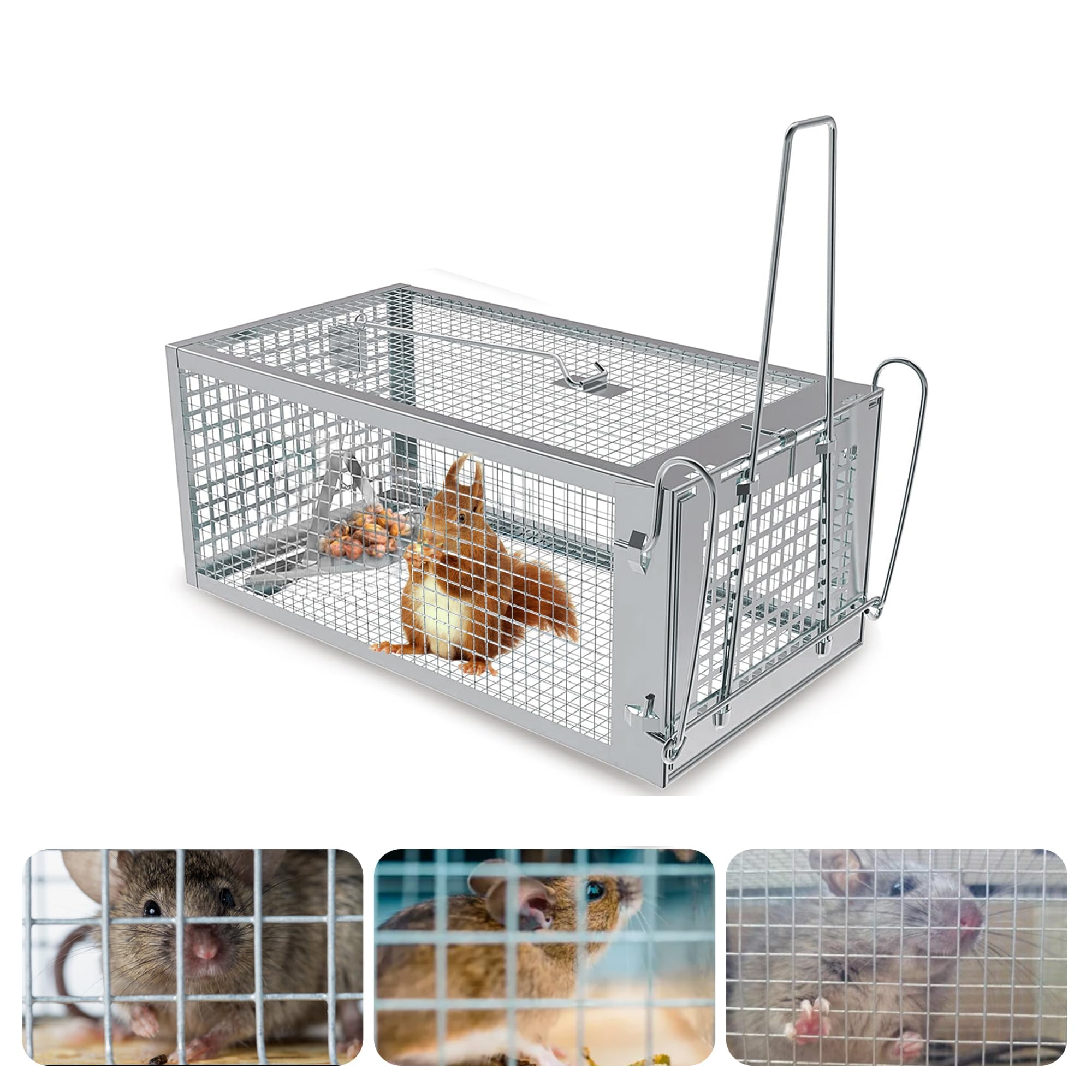 Humane Rat Trap, Chipmunk Rodent Trap That Work for Indoor and Outdoor ...