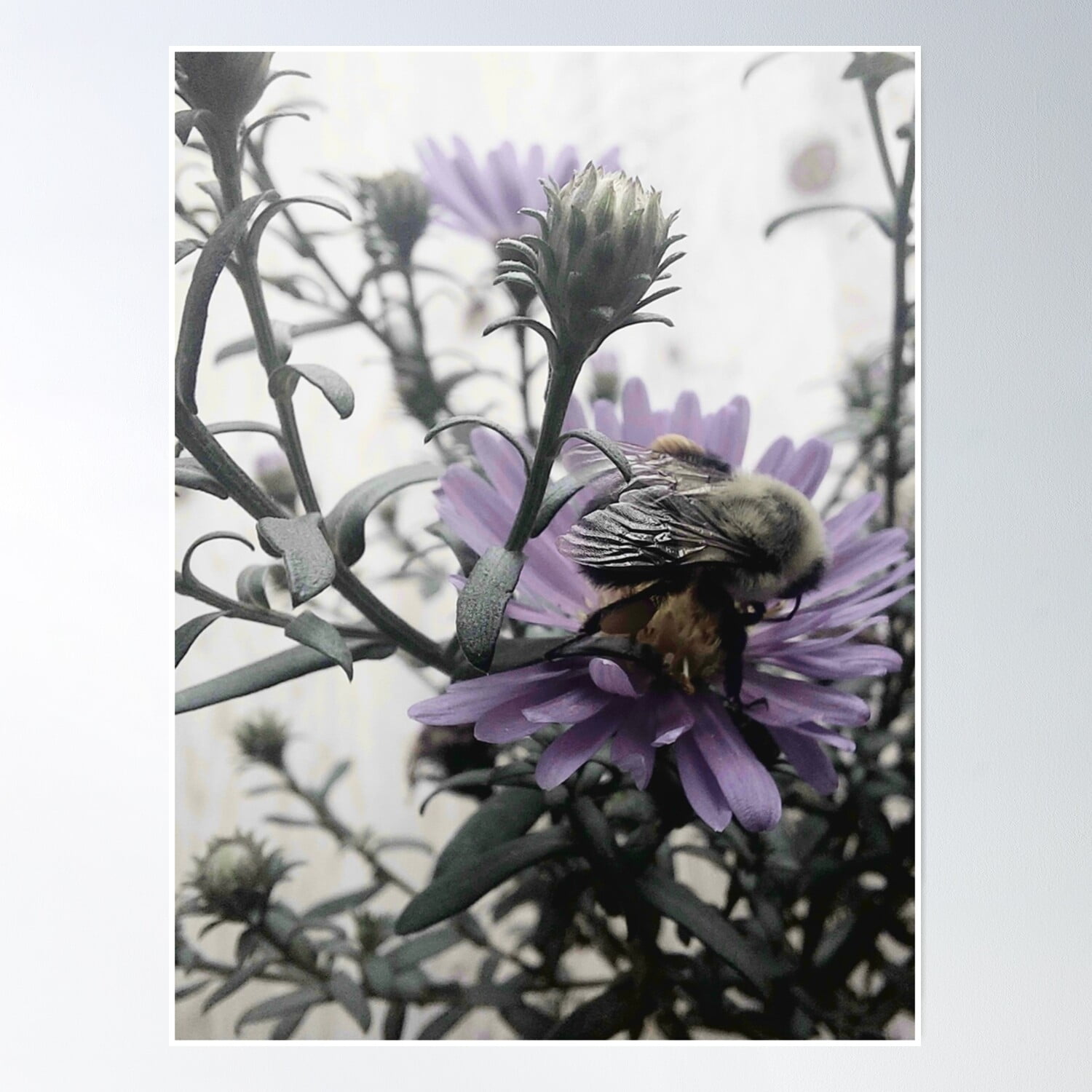 Humble Bumble Desaturated Poster Wall Art, Modern Wall Decor, 24x36 ...