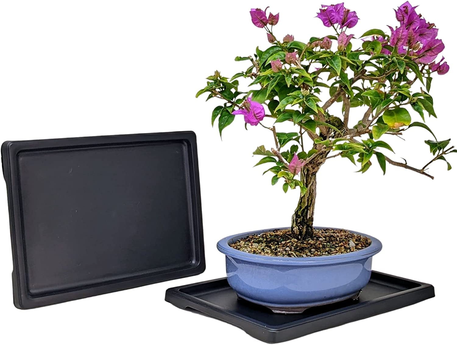 Humidity Tray, 9-Inch Drip Tray, Maintains Moisture for Plants Helps ...