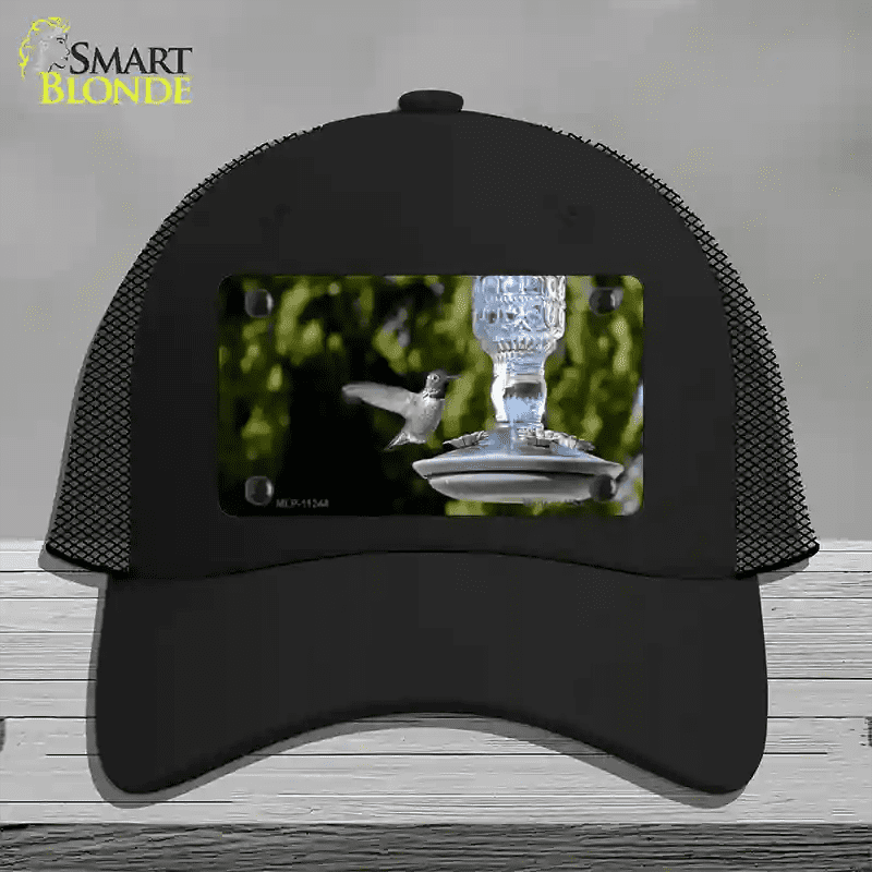 Hummingbird At Feeder Novelty License Plate Hat Mesh Black - Walmart.com