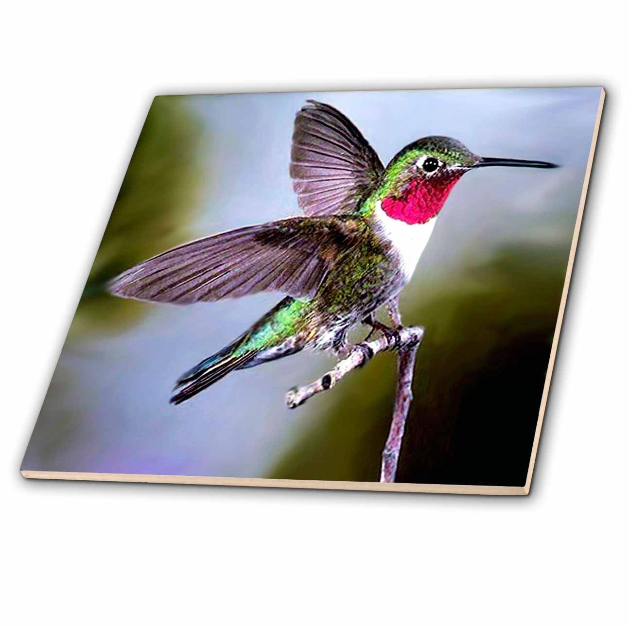 3dRose, Hummingbird, Bird, 8 Inch Ceramic Tile - Walmart.com