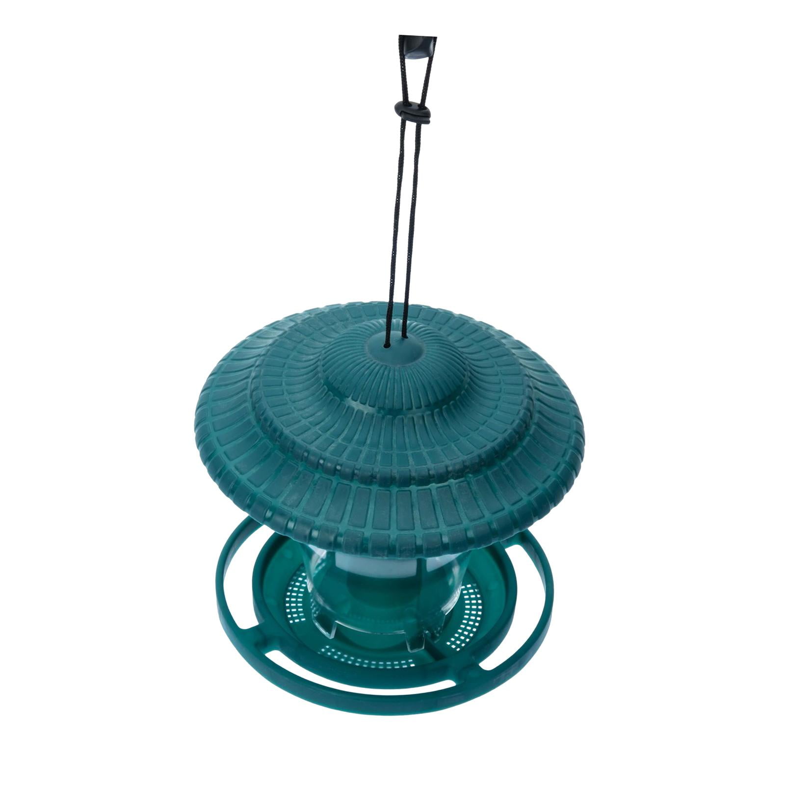 Hummingbird Bird Feeders Finches Feeder with Adjustable Lanyard Birds ...