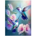 Hummingbird Diamond Painting Kits for Adults - DIY Birds Diamond Art ...