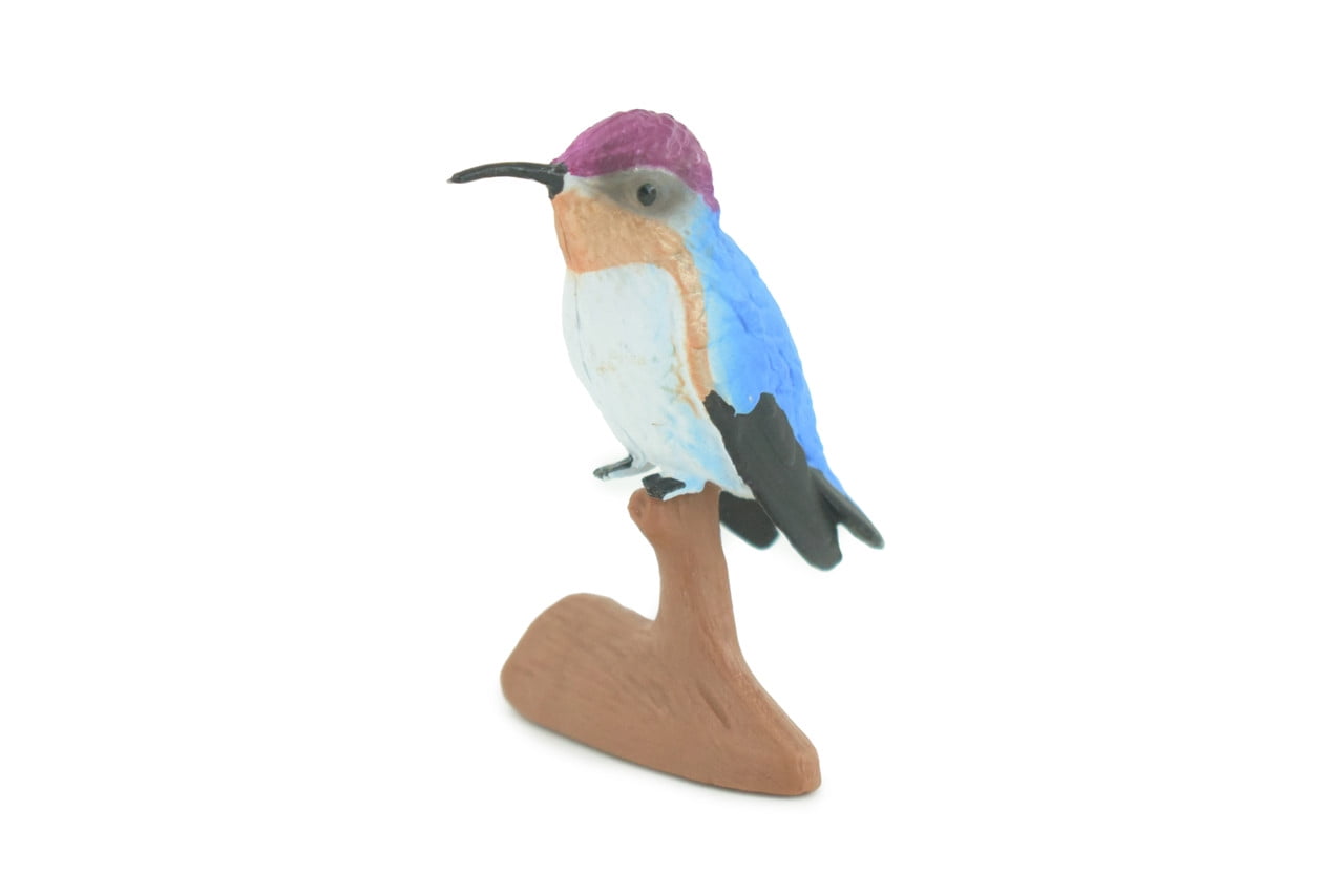 Hummingbird, Educational, Hand Painted, Museum Quality, Rubber Bird ...