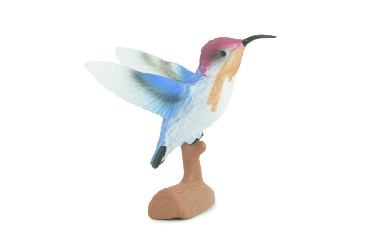 Hummingbird, Educational, Hand Painted, Museum Quality, Very Nice ...