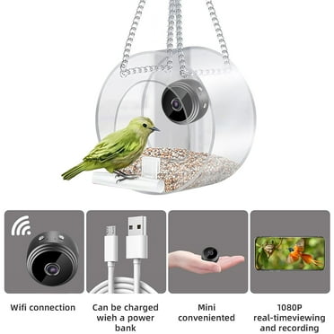 Birddock Digital Outdoor Hummingbird Feeder with AI Camera and SD Card ...