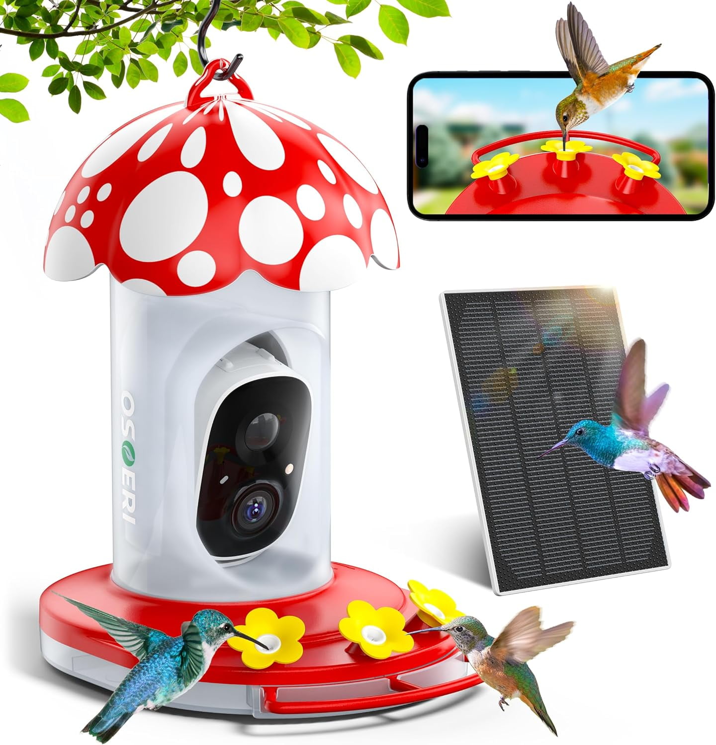 Hummingbird Feeder with Camera, 2K HD AI Identify Solar Bird Feeders ...