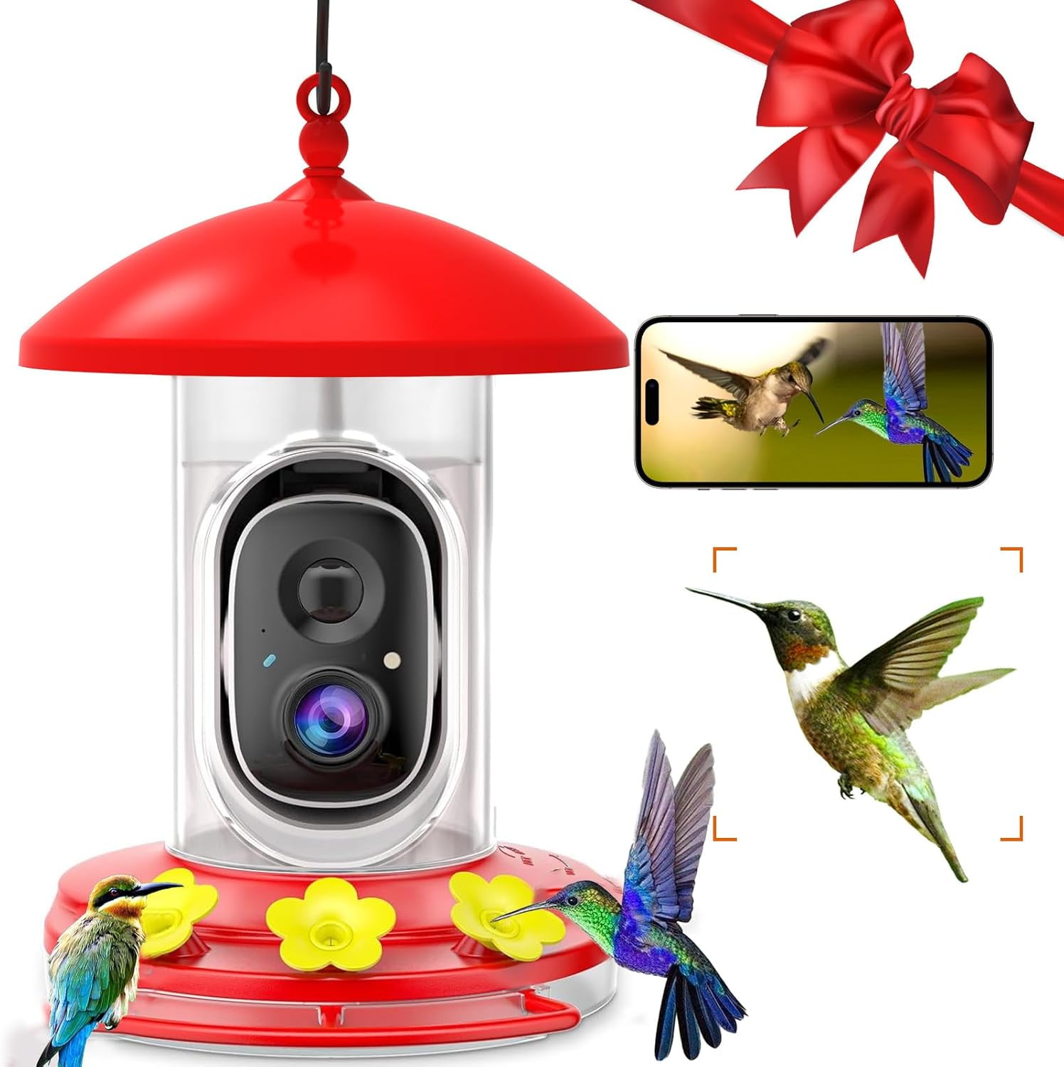 Hummingbird Feeder with Camera, 2K Video Hummingbird Feeder, Ant Moat ...