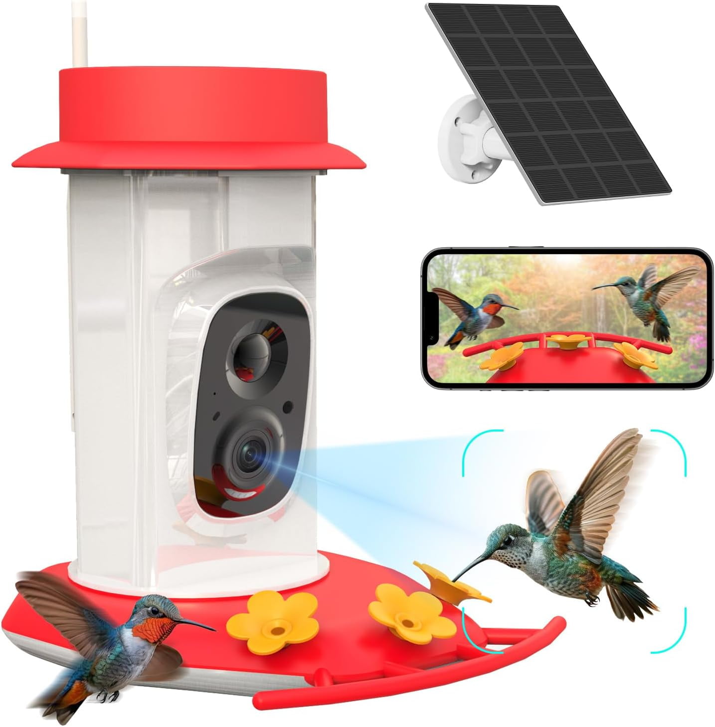 Hummingbird Feeder with Camera, AI Smart Identification Cloud Storage ...