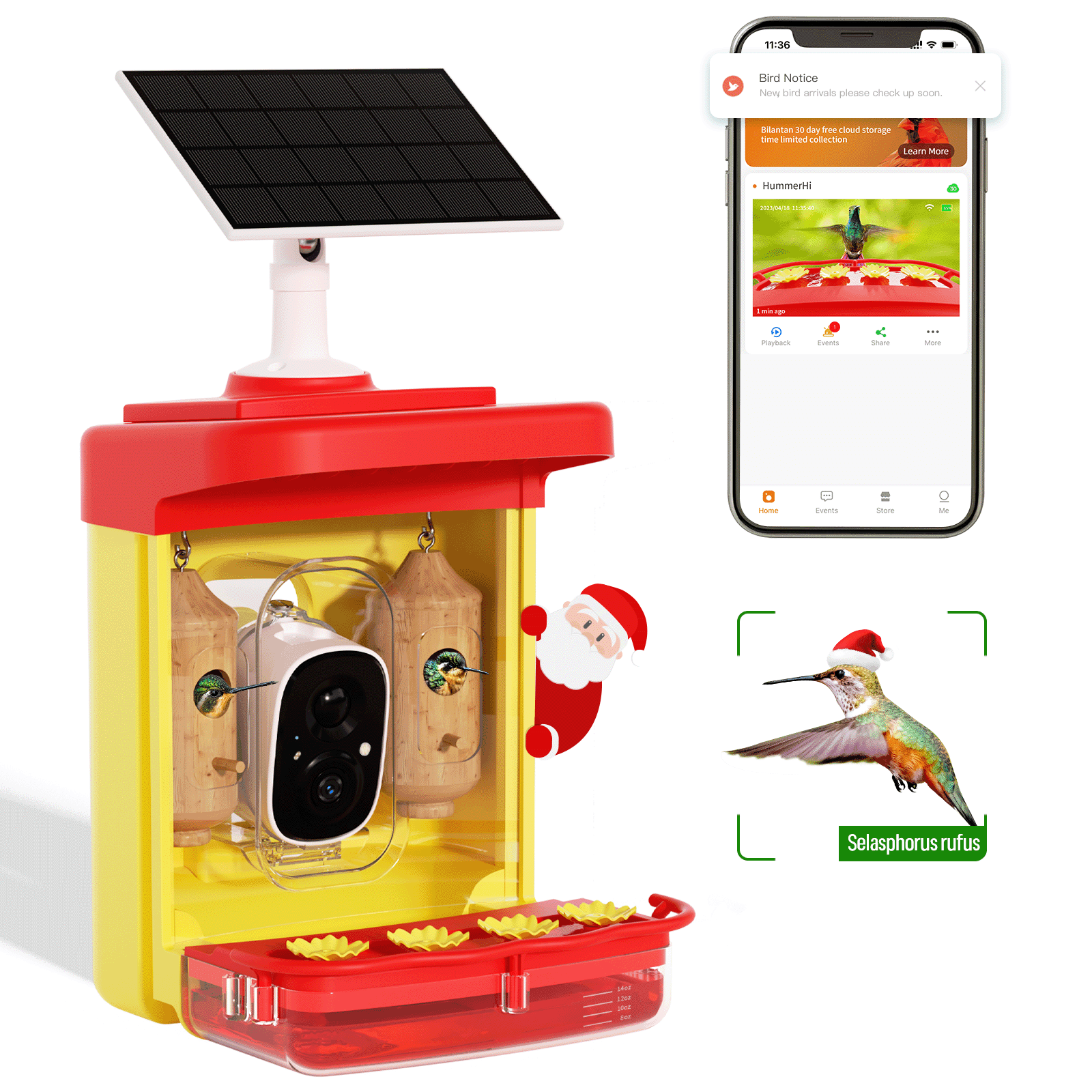 Smart Hummingbird Feeder with Camera, Auto-Video, AI 350+ Species ...