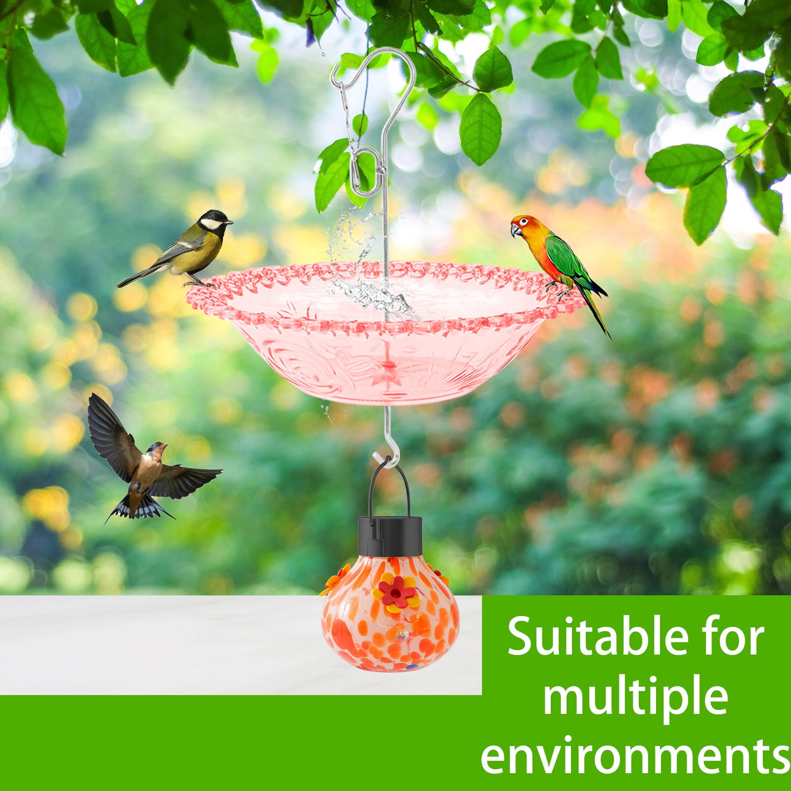 Hummingbird Feeder, Elegant Glass Hummingbird Feeder for Outdoors ...