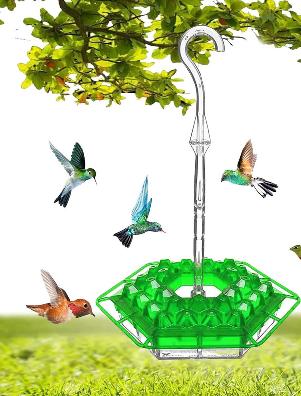 Hummingbird Feeder for Outdoors – Hanging Ant and Bee Proof Hummingbird ...
