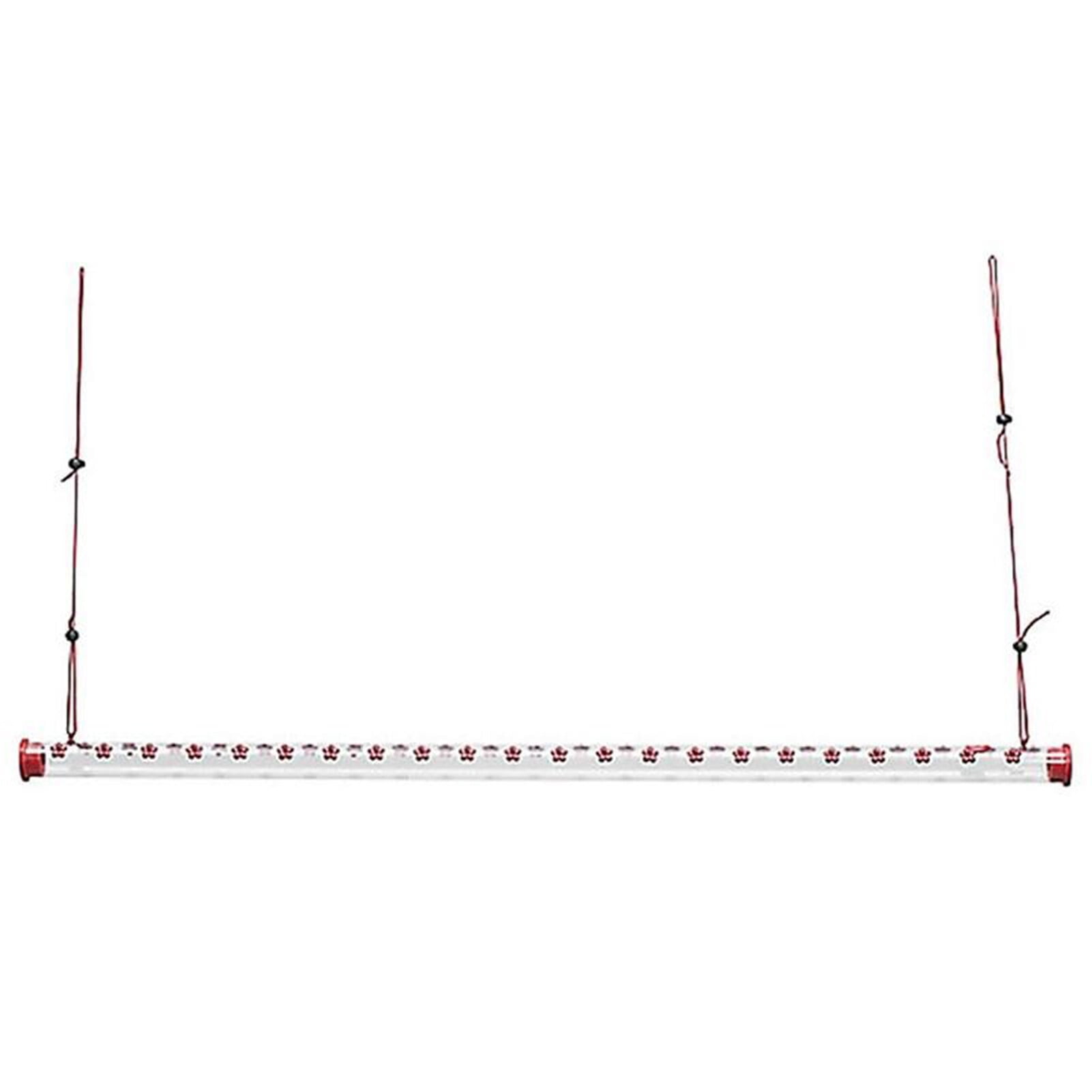 Hummingbird Feeder with Hole Feeding Hose Easy to Use Hanging Long Tube ...