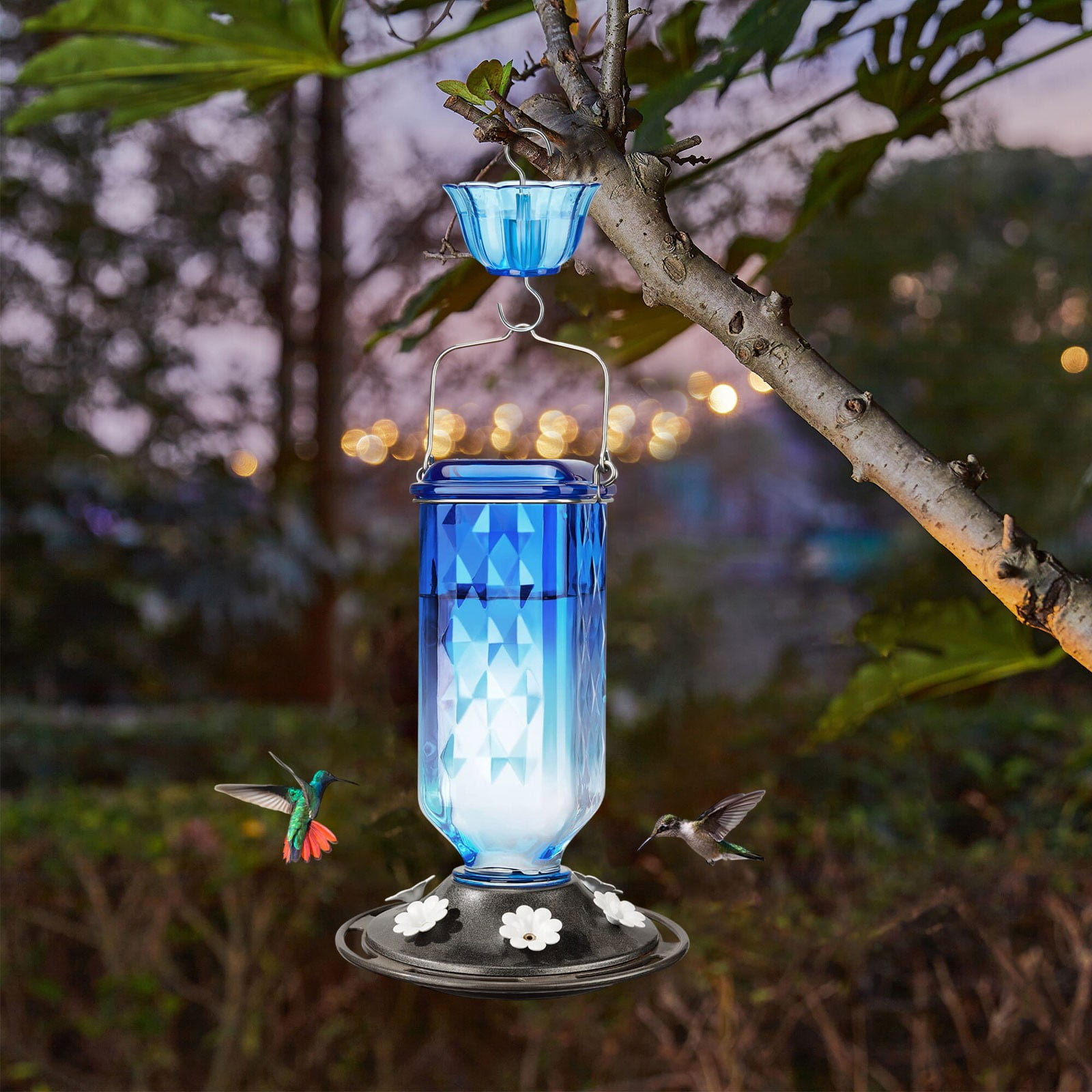 Hummingbird Feeders for Outdoors Hanging, Glass Hummingbird Feeder with ...