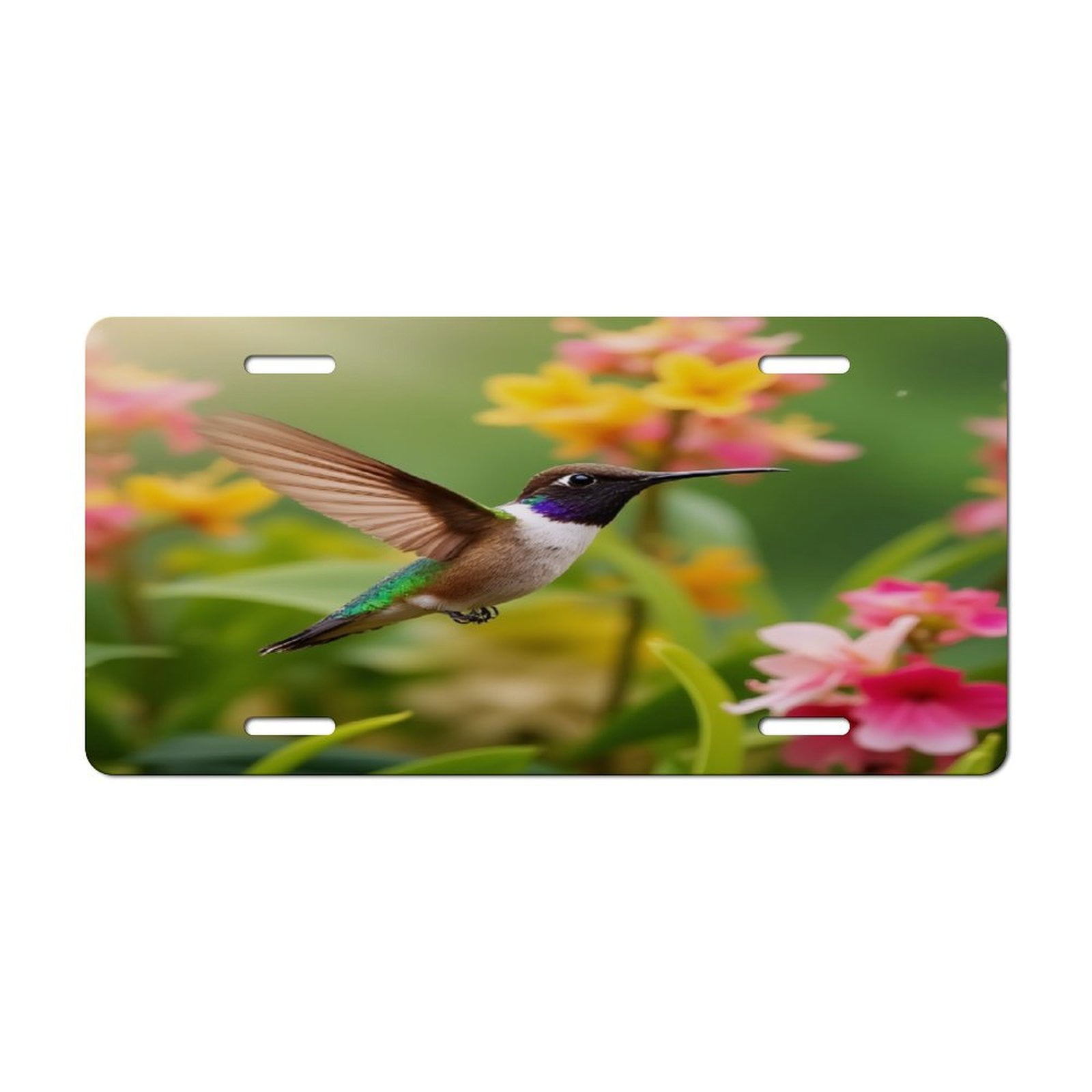 Hummingbird Floral Garden-2 Car Decorative Front License Plate,Vanity ...
