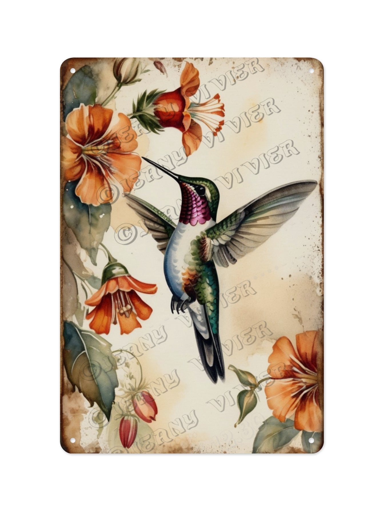 Hummingbird Gifts Vintage Aluminum Sign 8x12 Inches - Shabby Chic ...
