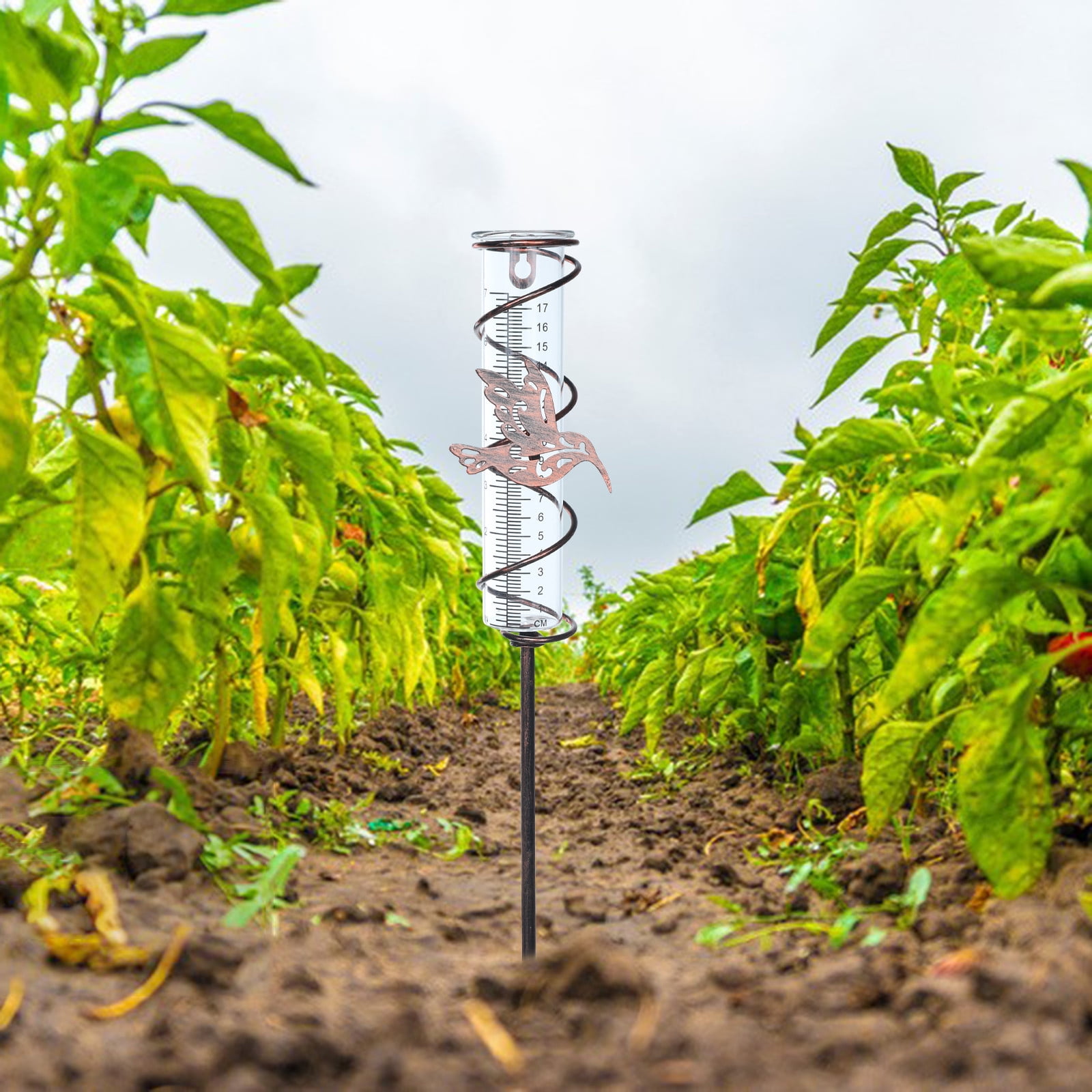 Hummingbird Glass Rain Gauge Outdoor Decor | 7 Inch Rain Measurement ...