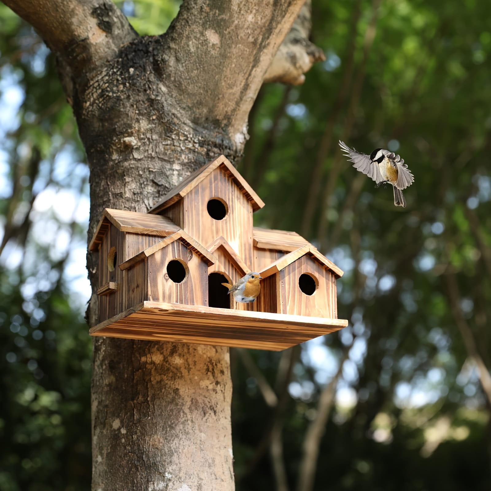 Hummingbird House & Red Sparrow Nest Box - Handcrafted Bird Feeder and ...