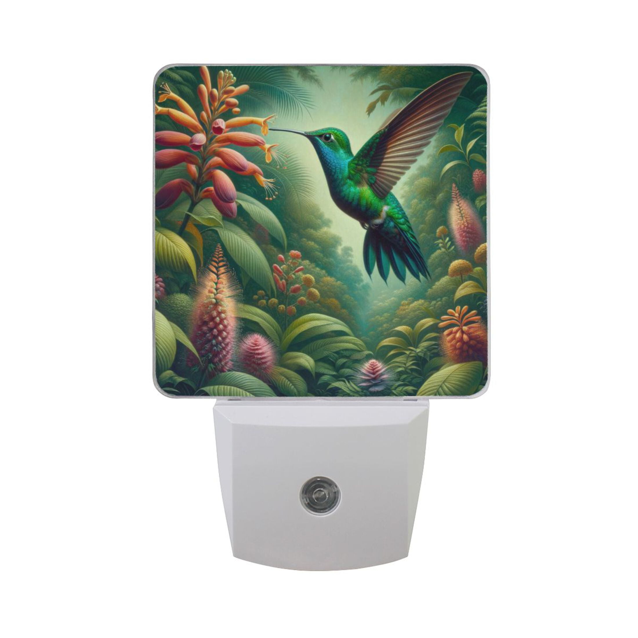 Hummingbird Hovering on Flowers Night Light 2 Pack LED Nightlight Plug ...