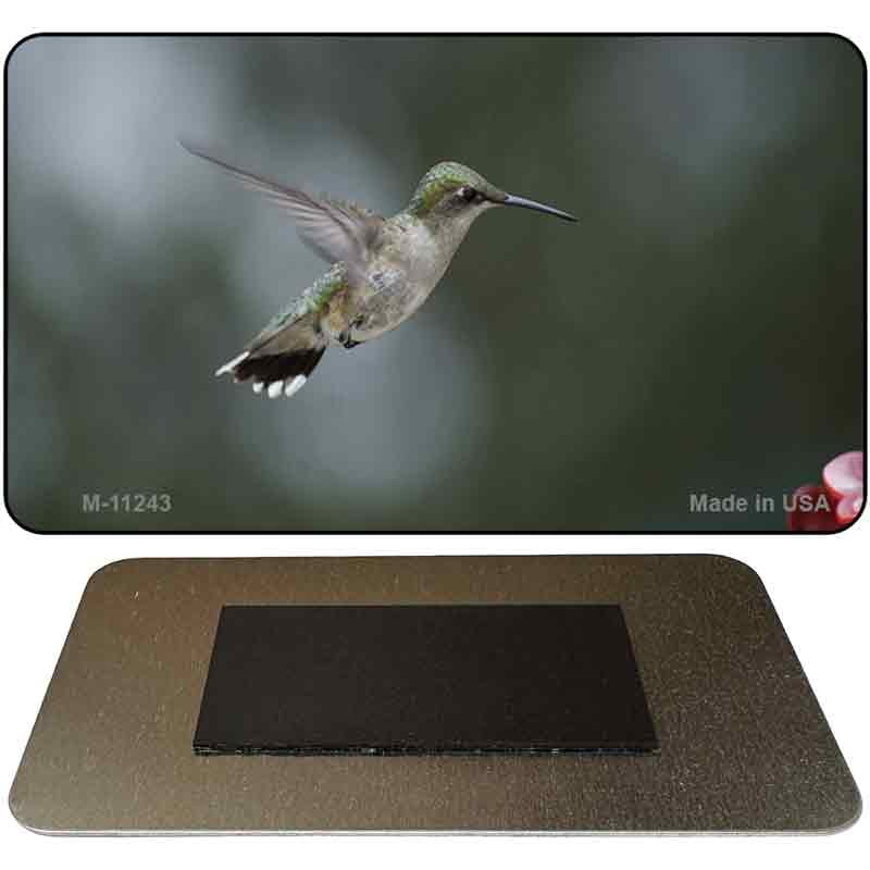 Hummingbird In Flight Novelty Magnet M-11243 3.5" x 2" Magnet (M ...