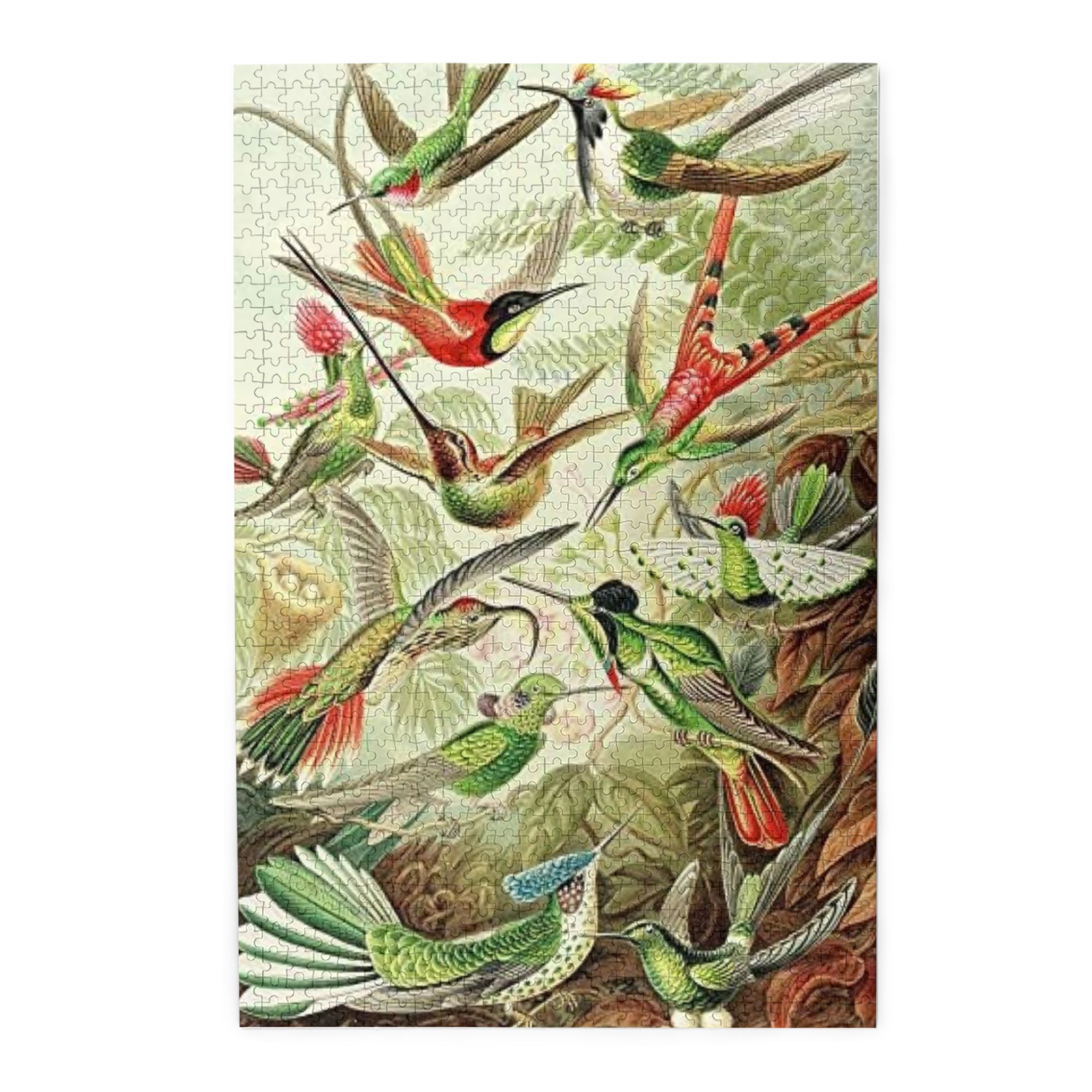 Hummingbird Jigsaw Puzzles for Kids 1000PCS,Child Education Gift for ...