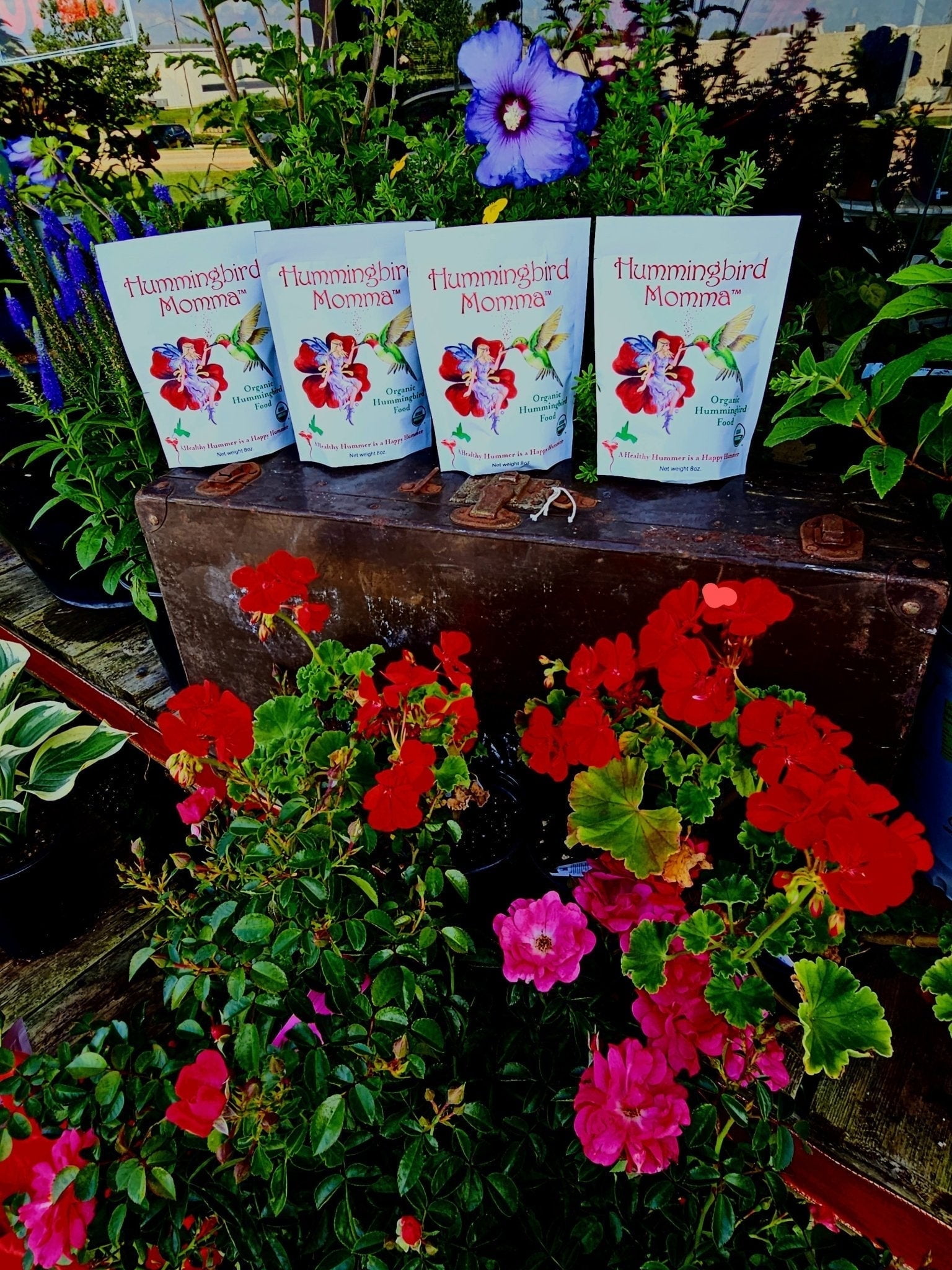 Hummingbird Momma, Organic Hummingbird Food, 12 ct, No dyes - Walmart.com