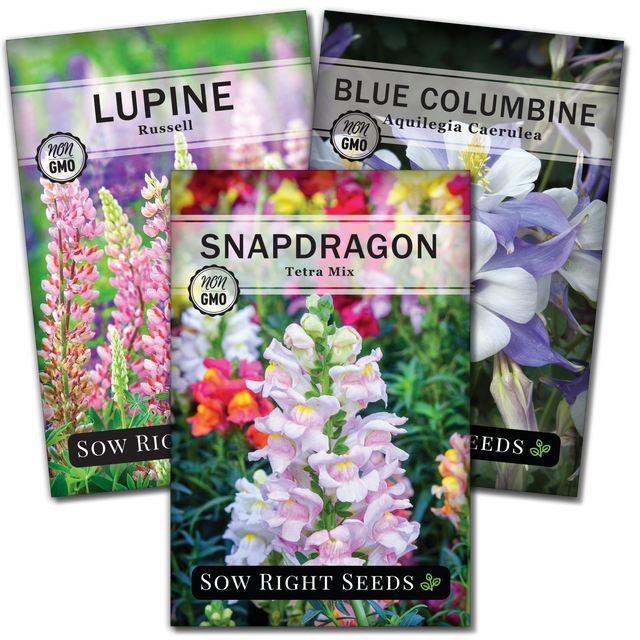 Hummingbird Pollinator Seed Collection - Non GMO Heirloom Varieties for ...
