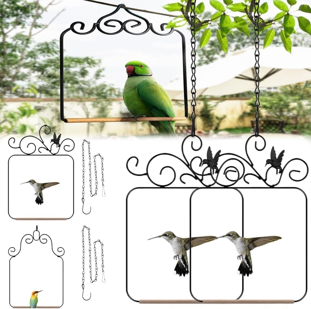 Hummingbird Swings and Perches, A Hummingbird Swing, Humming Bird Perch ...