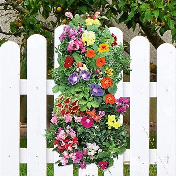 Hummingbird Vertical Garden - Mixed Colors - Attracts Butterflies and ...