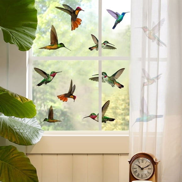 Stop Bird Fly Window