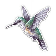 Colorful Hummingbird - 5" Vinyl Sticker - For Car Laptop I-Pad ...