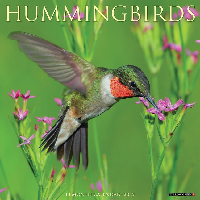 Hummingbirds 2025 Wall Calendar - Walmart.com