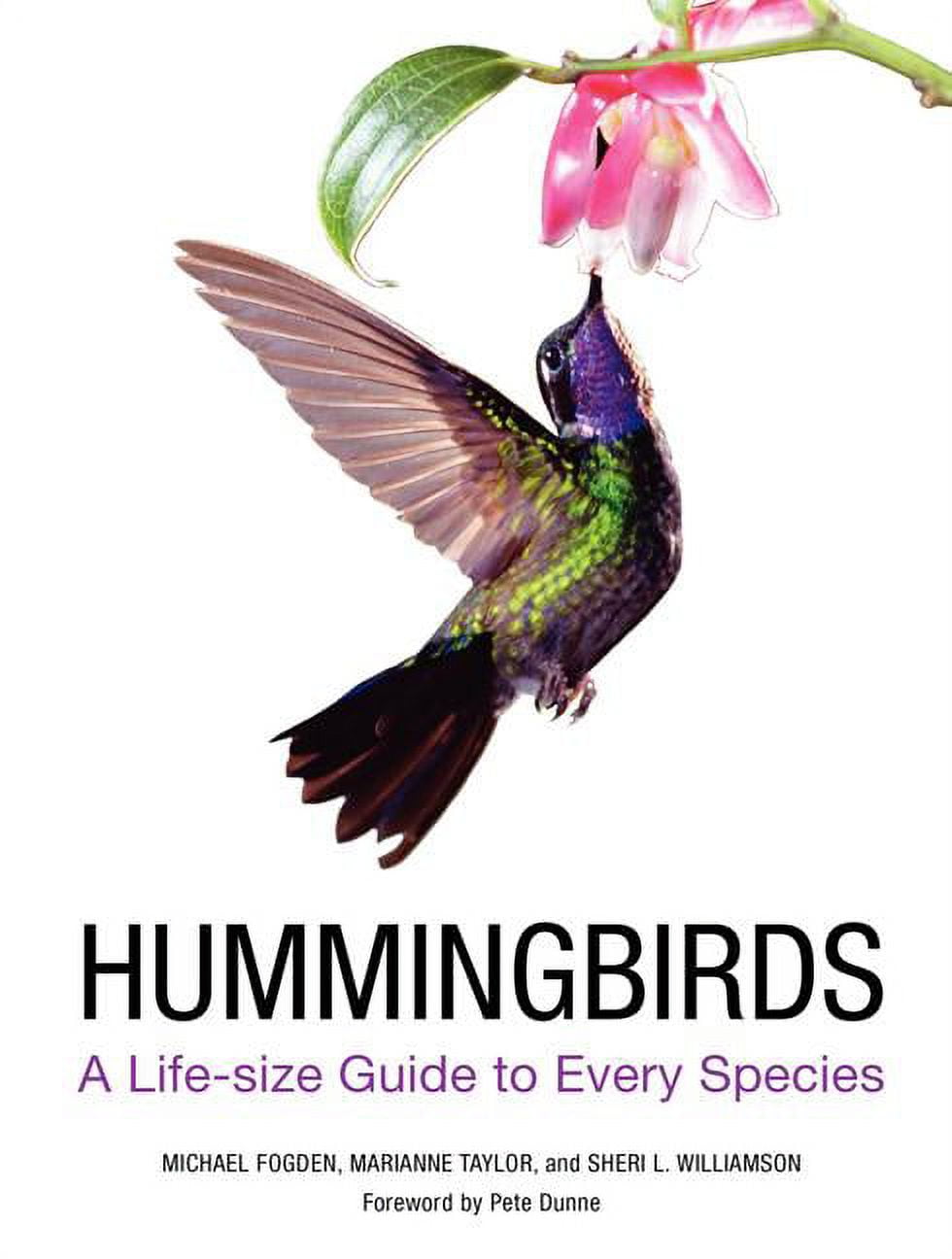 Hummingbirds: A Life-Size Guide to Every Species, (Hardcover) - Walmart.com