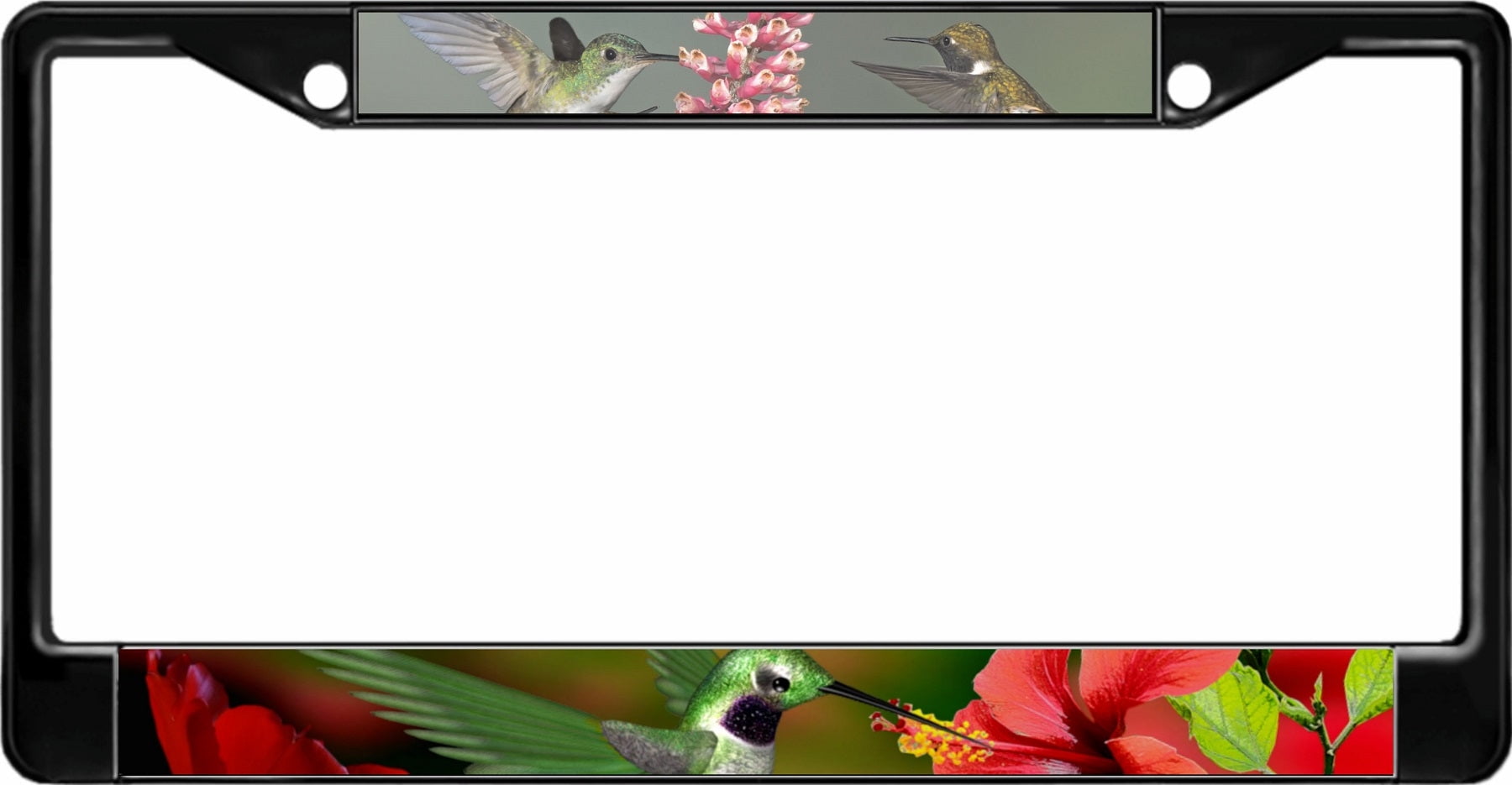Hummingbirds Black License Plate Frame - Walmart.com